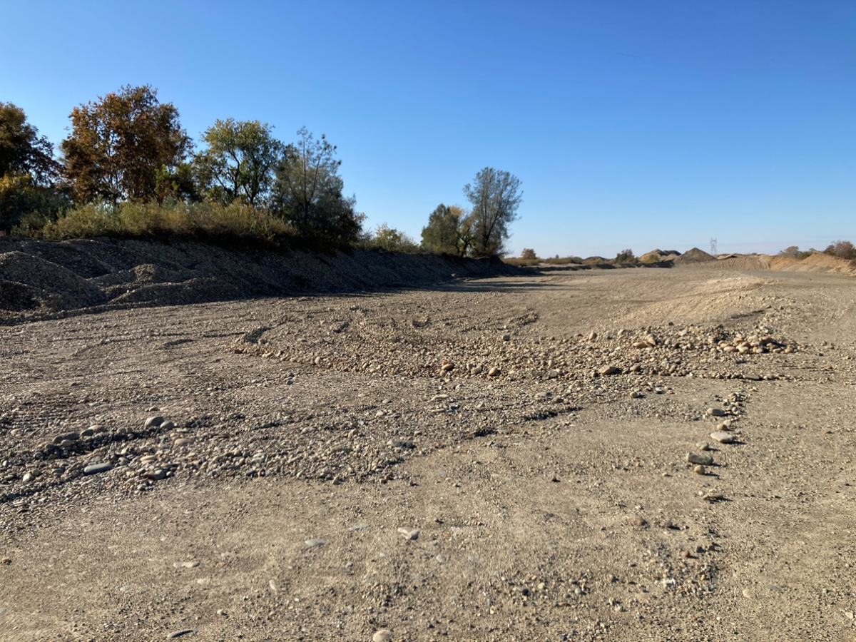 Hallwood Phase 3/4 Update - Hallwood Restoration Project